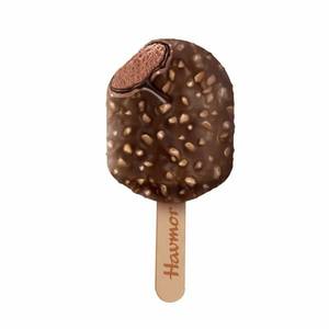 FroGo - One Stop Ice Cream Shop in Military Road Delhi | Order Food ...