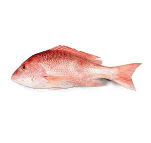 Nature's Basket in Bellandur Sarjapur Bangalore | Order Food Online ...