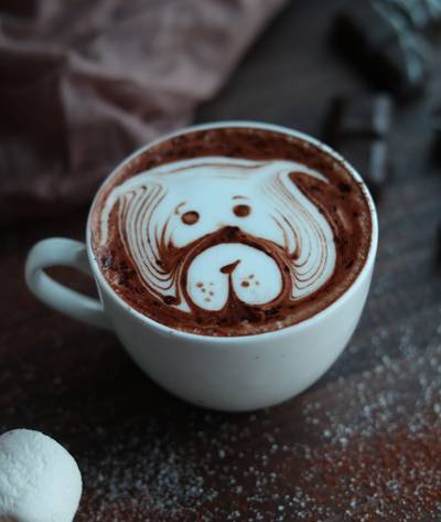 Davara Coffee in Nungambakkam Chennai | Order Food Online | Swiggy