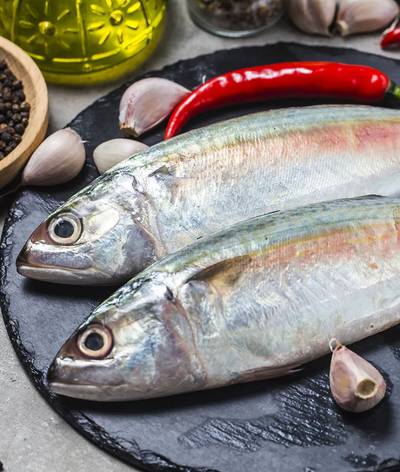 Meat N Fish in Noida Expressway Noida 1 | Order Food Online | Swiggy
