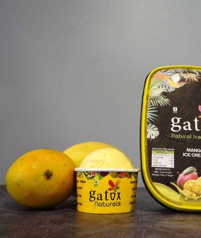 Gatox Naturals Ice Cream in 100 Ft Ring Road Vizianagaram | Order Food ...