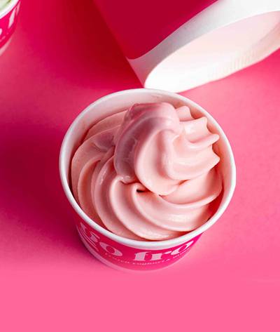 Go Fro-Frozen Yogurt, Churros, Waffles & Boba Tea in Greater Kailash 2 ...