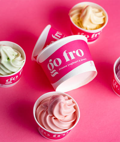 Go Fro-Frozen Yogurt, Churros, Waffles & Boba Tea in Rajouri Garden ...